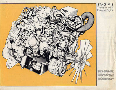TRIUMPH Stag V8 Engine Specifications Catalog-Brochure | eAutomobilia ...