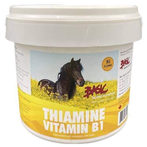 Basic Equine Thiamine Vitamin B1 1kg - The Horse Barn