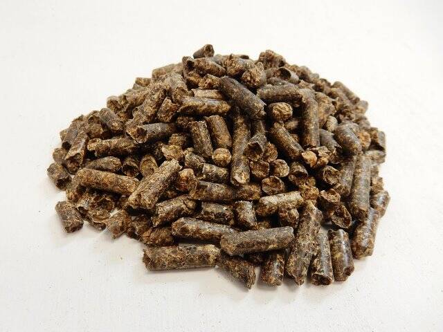 Beet Pulp 20kg | Kamloops - The Horse Barn