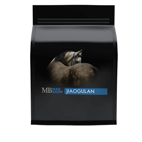 Mad Barn Jiaogulan Powder 1 Kg - The Horse Barn