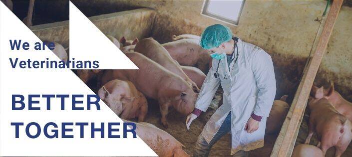 South West Ontario Veterinary Services - South West Ontario Veterinary ...